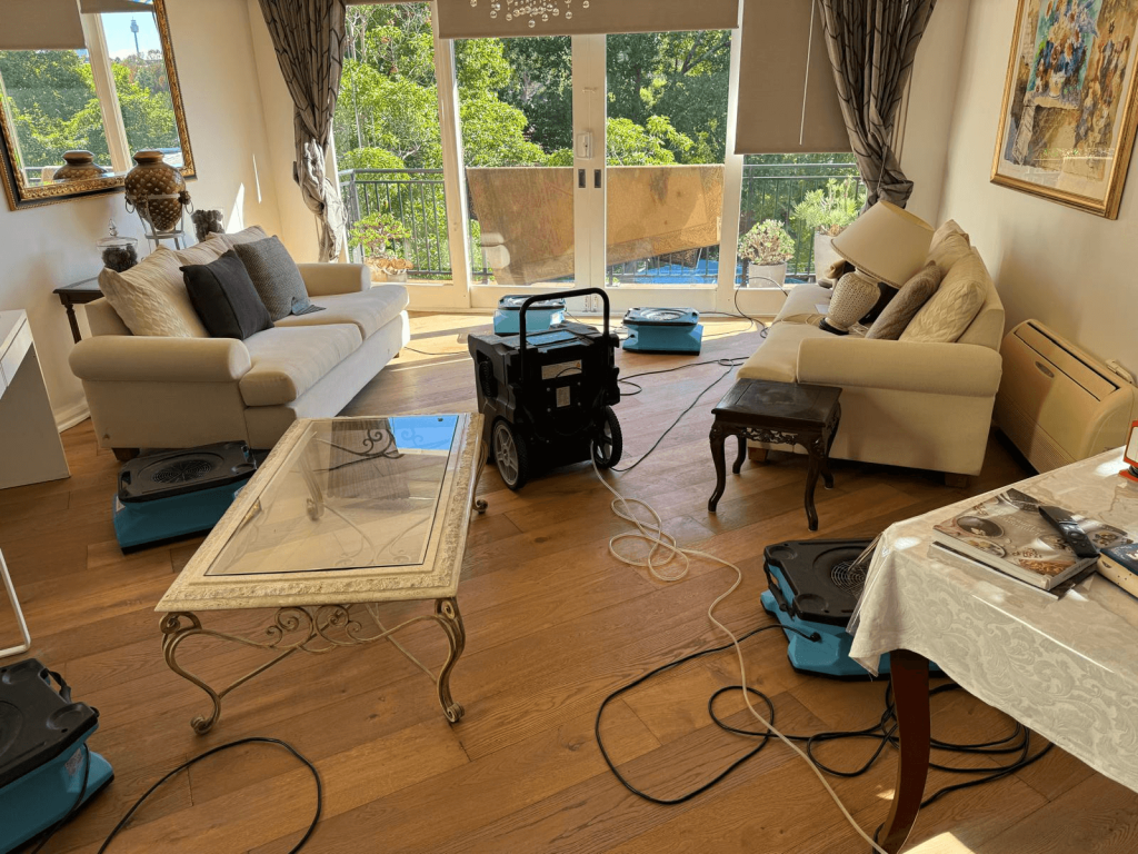 Restoration Pros: The Flood Damage & Mould Experts