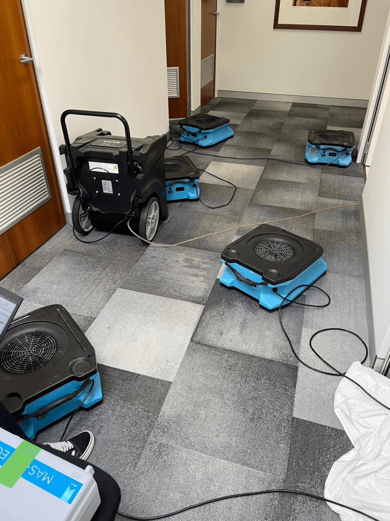 Restoration Pros: The Flood Damage & Mould Experts