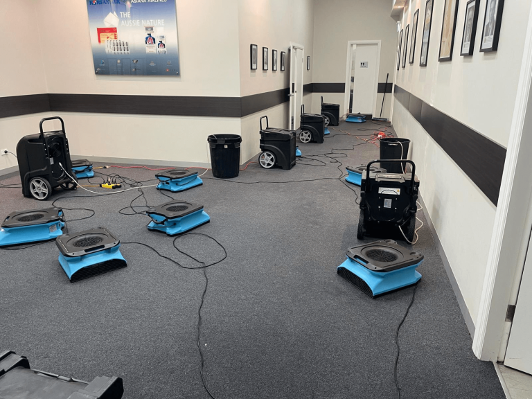 Restoration Pros: The Flood Damage & Mould Experts