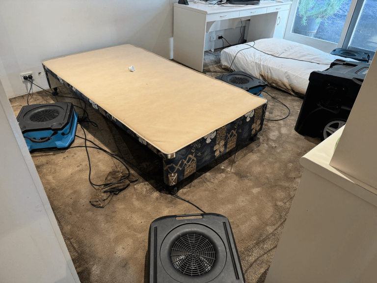 Restoration Pros: The Flood Damage & Mould Experts